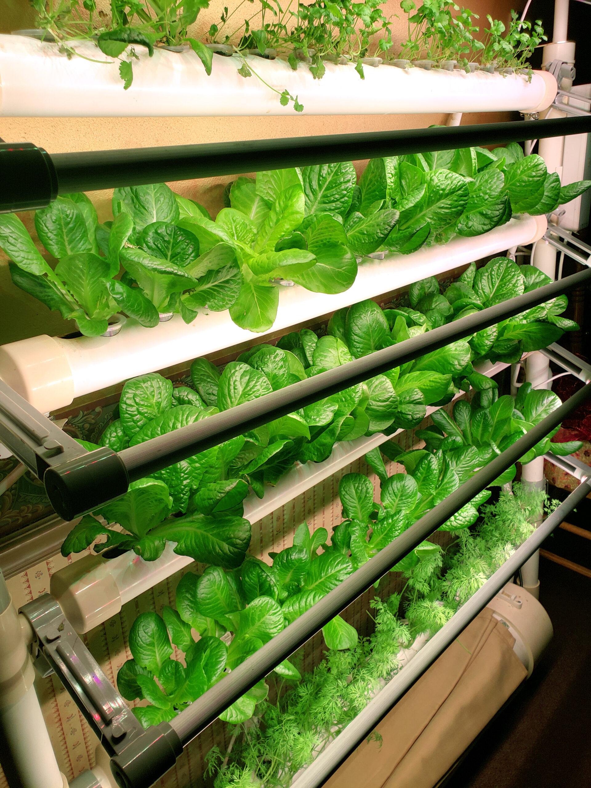 The Willowtree Restaurant, Family Friendly